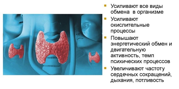 Кретинізм - ознаки, симптоми, діагностика та лікування