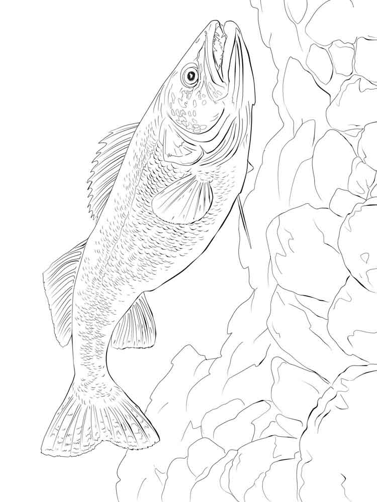 Розмальовки Річкові риби – роздрукувати безкоштовно онлайн